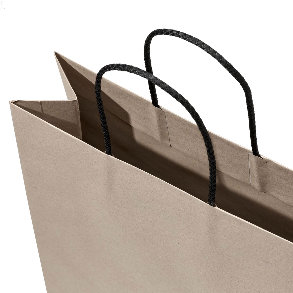 Paper Carrier Bag Classic Prestige | Pandinavia AG